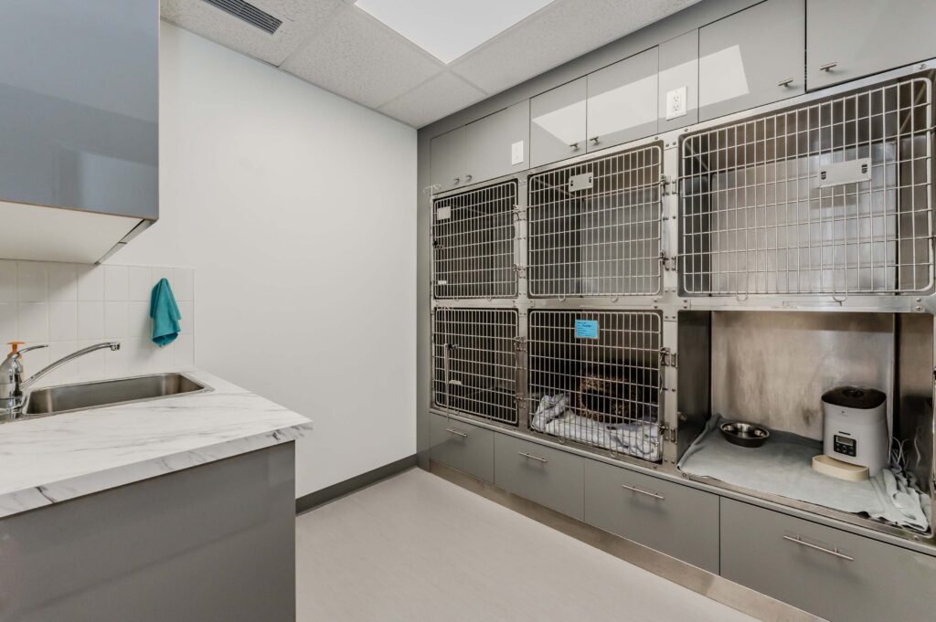 Veterinary Appointment In Waterloo, ON | Parkdale Animal Hospital