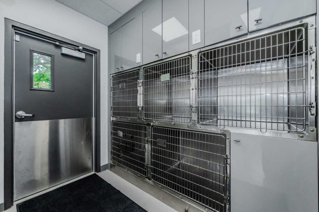 Parkdale Animal Hospital Patient Gallery | Vet Clinic In Waterloo, ON ...