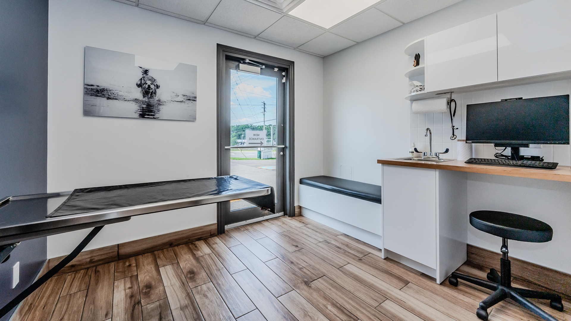Parkdale Animal Hospital Laboratory | Vet Clinic In Waterloo