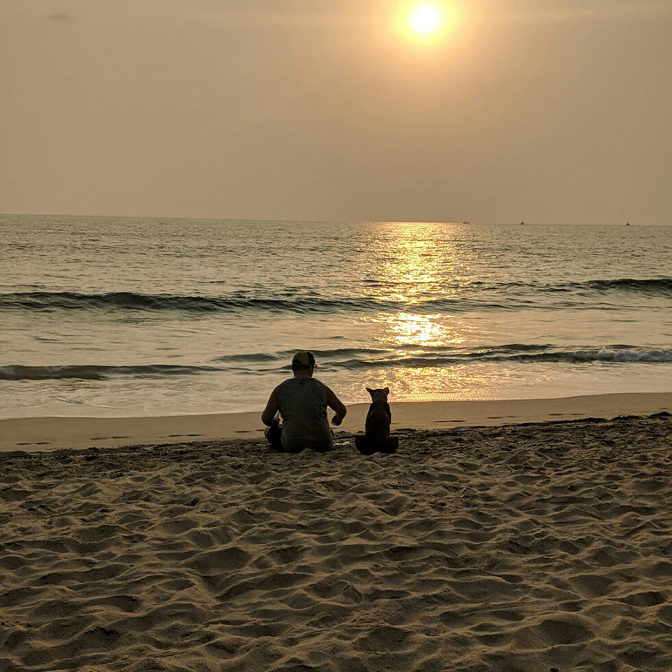 Grief Resources | Parkdale Animal Hospital