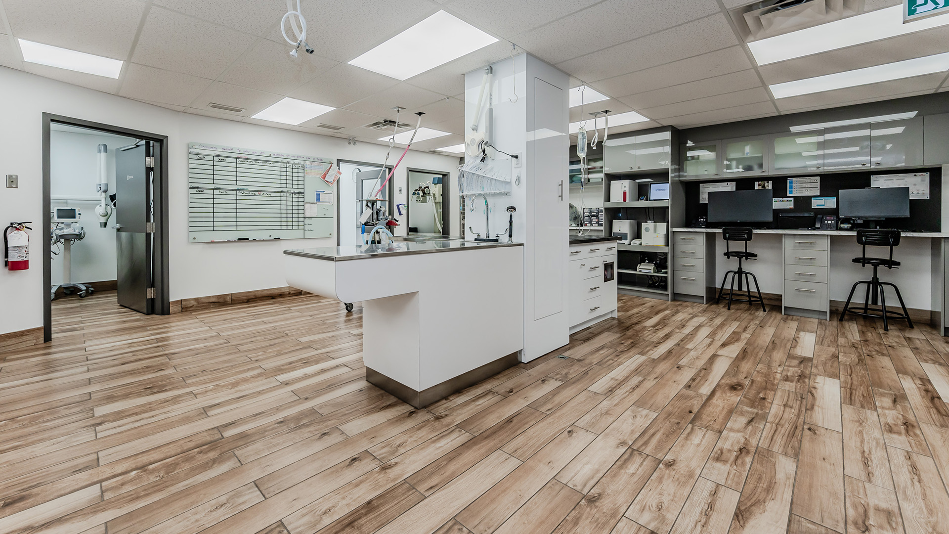 About Parkdale Animal Hospital | Vet In Waterloo, ON, N2L 5J2