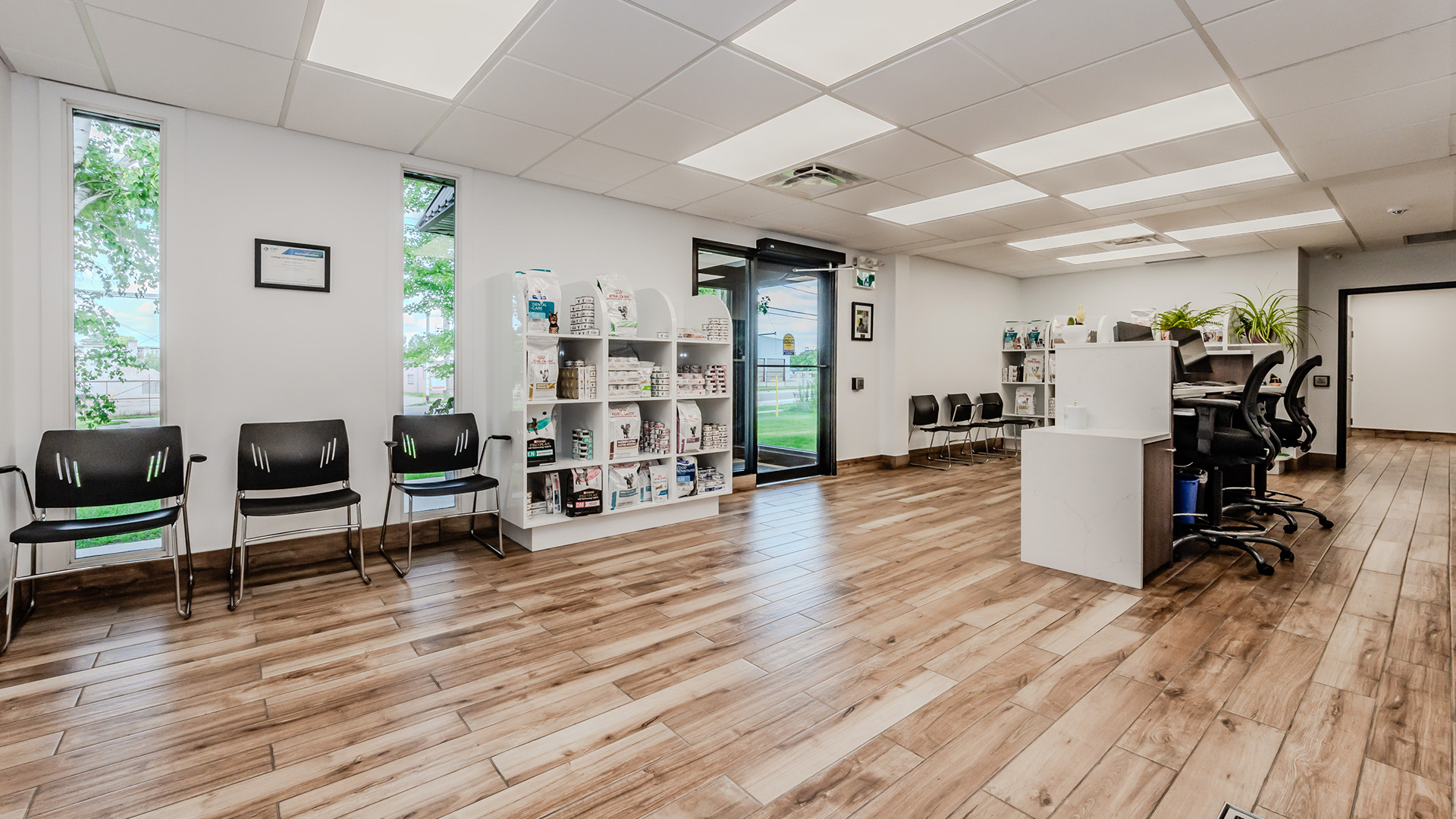 Parkdale Animal Hospital Reception | Vet Clinic In Waterloo, ON, N2L 5J2